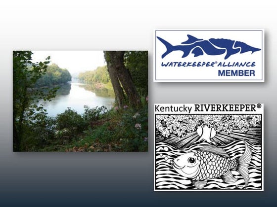 Pool 11 Presentation | PPT