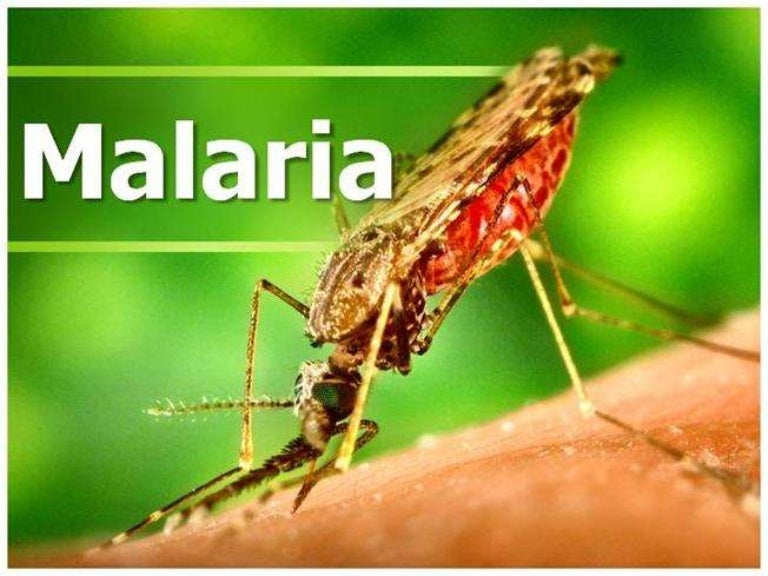 Malaria