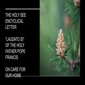 POPE FRANCIS 2ND ENCYCLICAL "Laudato Si" is the second encyclical of ...