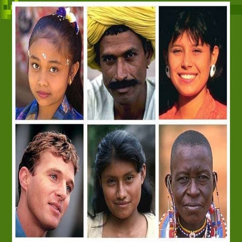 Pop gen part 1 | PPT