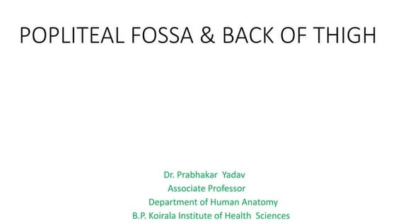 Anatomy and physiology of tibia and fibula tibia | DOC