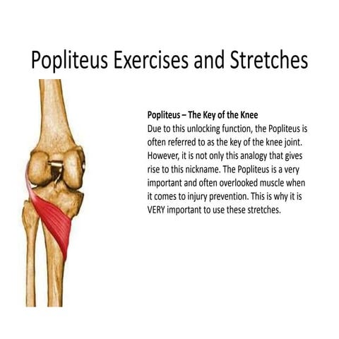 Popliteus exercises and stretches | PPTX