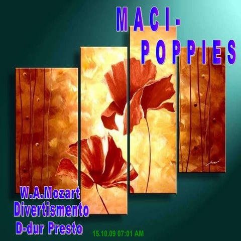Maci | PPT