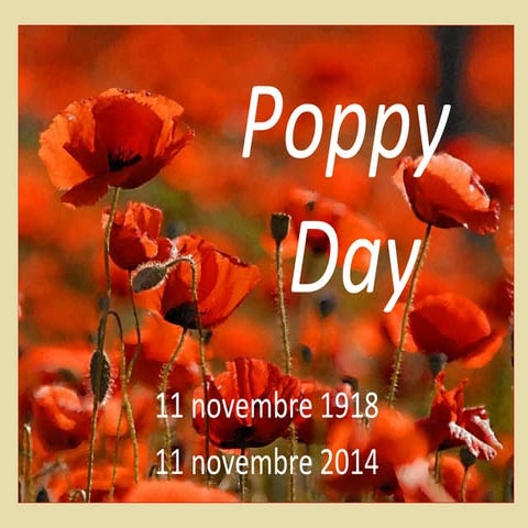 Poppy day | PPT