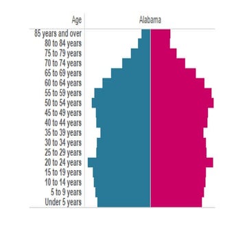 State Population Pyramids | PPTX