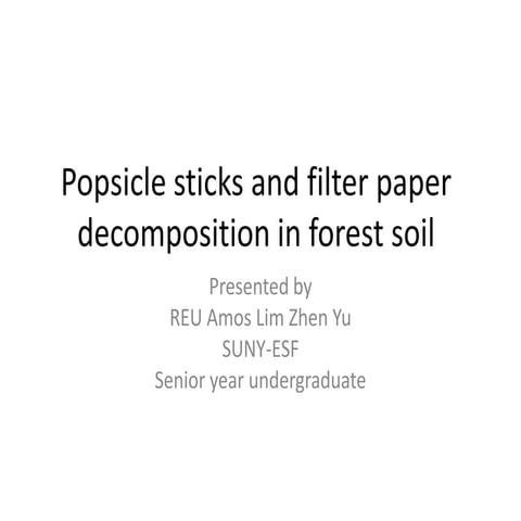 Popsicle sticks and filter paper decomposition in forest v2 | PPT