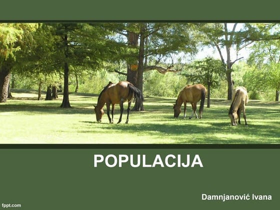 Kalendar života.pdf