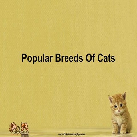 Presentation on Dogs | PPTX