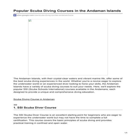 Plan A Perfect Scuba Diving in Andaman Trip to Explore Hidden Sea Gems ...