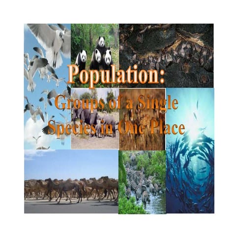POPULATION: GROUP OF SINGLE SPECIES IN ONE PLACE | PPTX