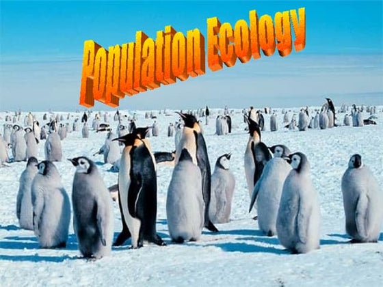 Population ecology grade 11 (life-sciences) | PPTX