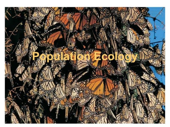 Population dynamics presentation | PPT