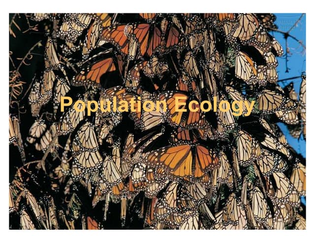 Population ecology grade 11 (life-sciences) | PPTX