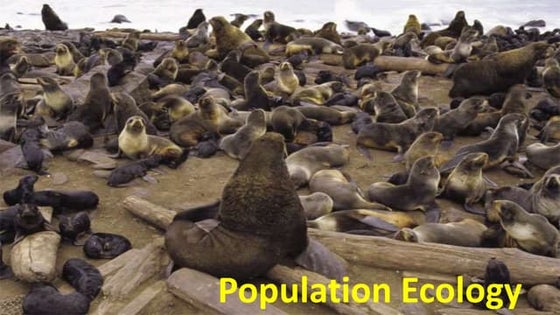 Population ecology | PPT