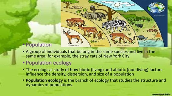 Population ecology grade 11 (life-sciences) | PPTX