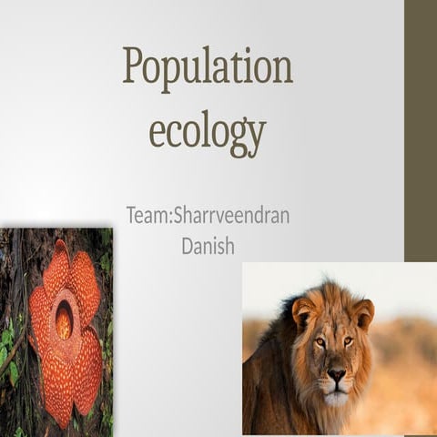 Population ecology.pptx bybttbtvrvf gbtvtv | PPTX