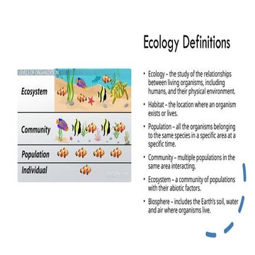 Population Ecology.pptxCommunity Develop | PPTX