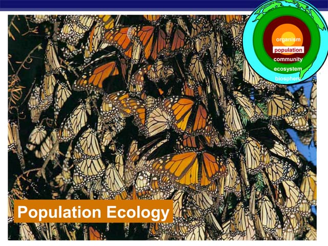 Population Ecology Grade 11 Part 1 | PPTX