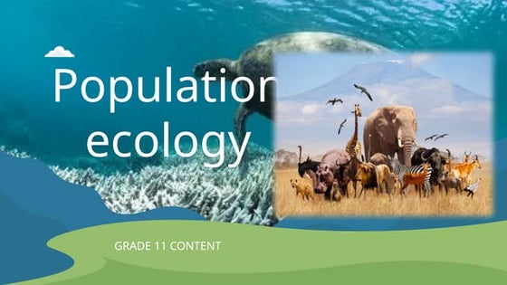 Population dynamics presentation | PPTX