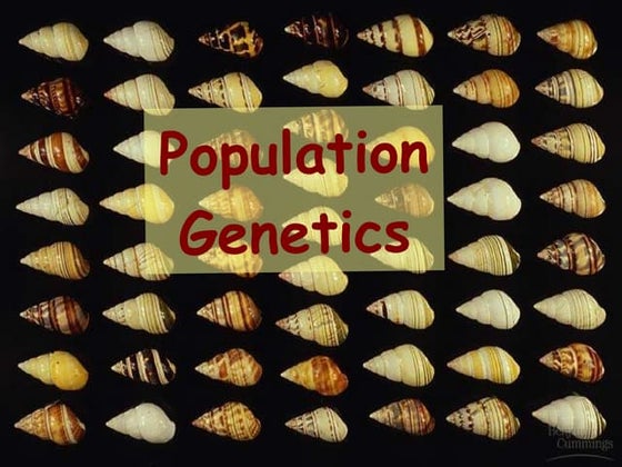 Population genetics | PPTX