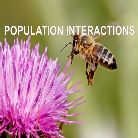 CBSE Biology investigatory project class 12 on population interaction | PDF