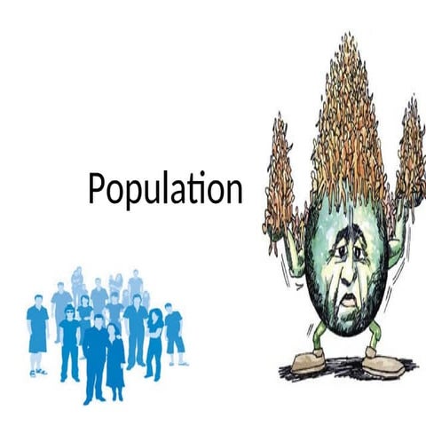 DTM and Population Pyramids | PPTX