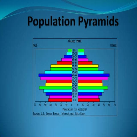 Population pyramids powerpoint | PPTX
