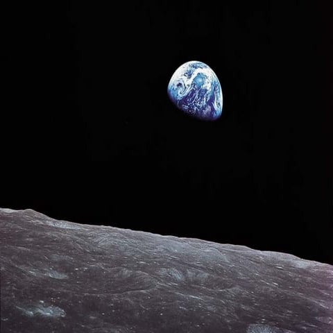 Honors Biology: Populations | PPT