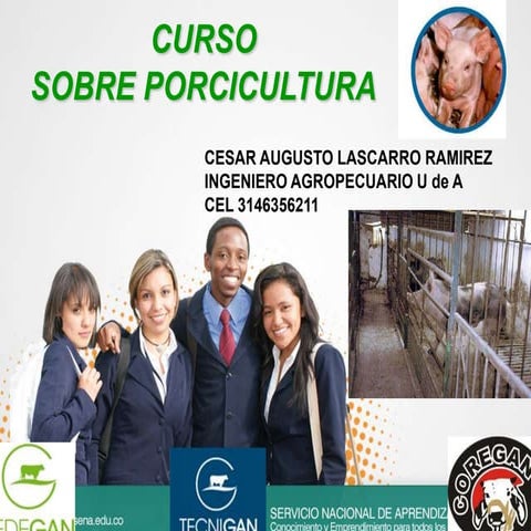 Proceso de Faenado en bovinos | PPTX