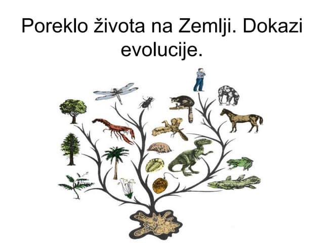 Ziva i neziva priroda | PPT