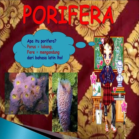 Porifera | PPT