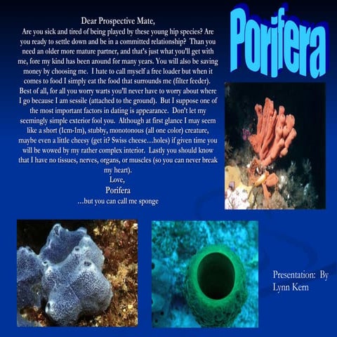 Porifera | PPT