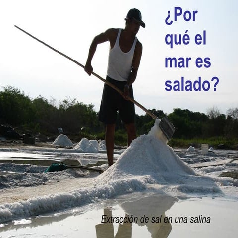 ¿Por qué el mar es salado? | PPT
