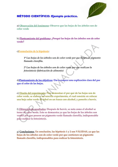 El experimento y el método científico | PPT
