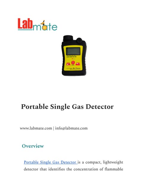 Portable Dual Gas Detector | PDF