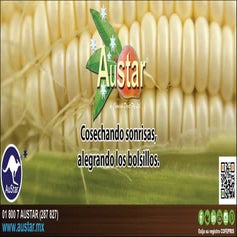 AuStar Mexico | PDF
