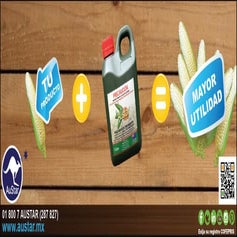 AuStar Mexico | PDF