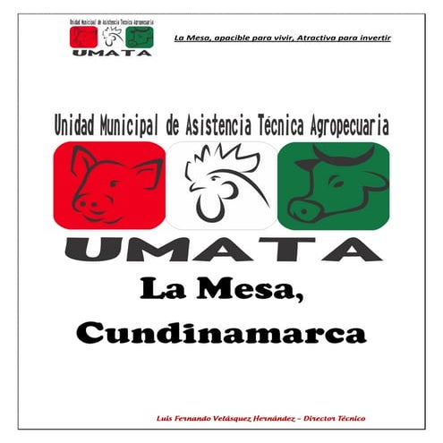 Portafolio umata | PDF
