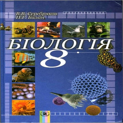 Portfel.in.ua 32 bio_8_serebryakov | PDF