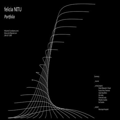 Portfolio extended-felicia-nitu | PPT