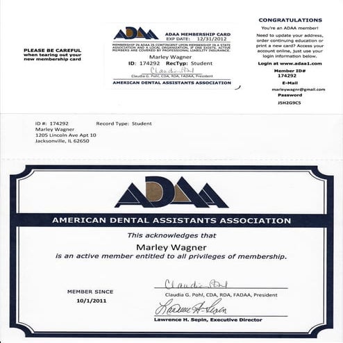 Portfolio adaa | PDF