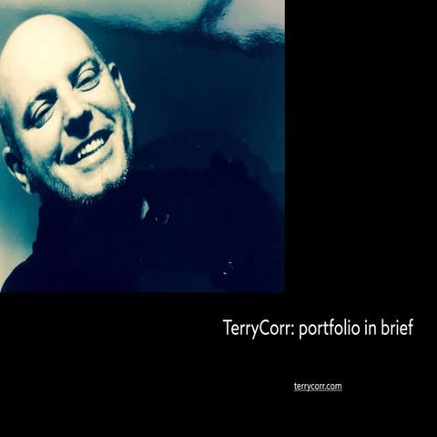 In brief Portfolio | PDF