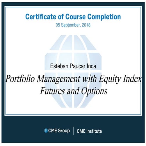 Portfolio management with equity index futures and options completion ...