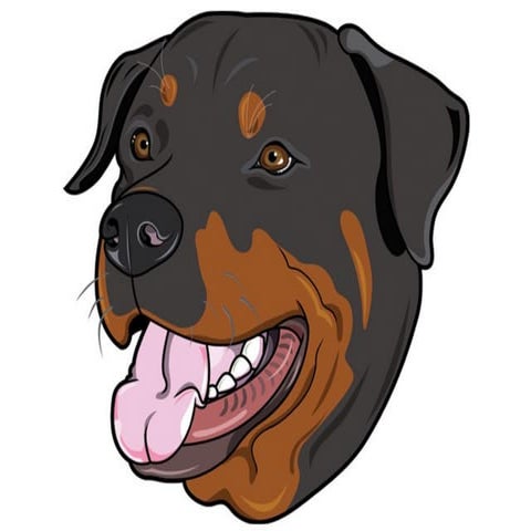 Portfolio Nancy Zonneveld | PPT