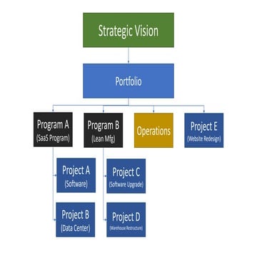 Portfolio Program Project.pptx