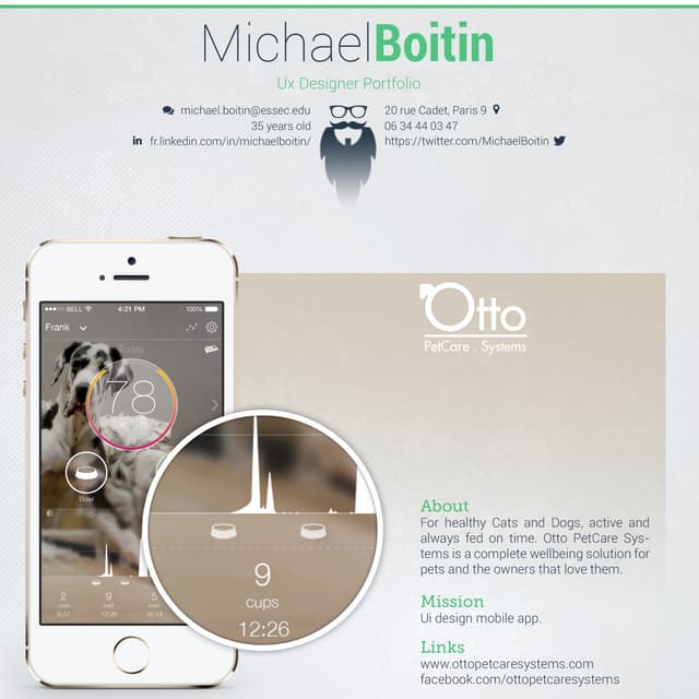 Portfolio Ui Ux Designer | PDF