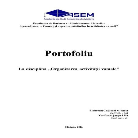 Portofoliu | PDF