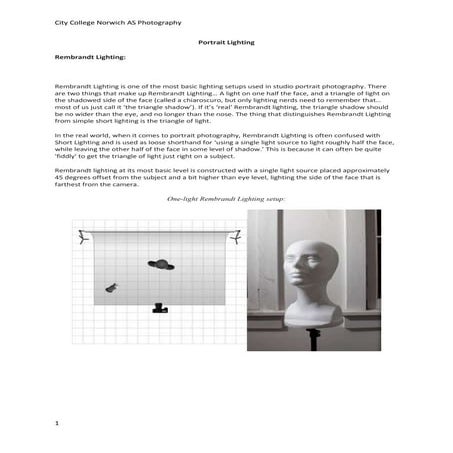 Portrait lighting rembrandt | PDF