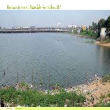Porur lake incredibles | PPTX | Zoos & Aquariums | Attractions