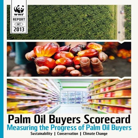 Unilever's Sustainable Palm Oil Journey | PDF